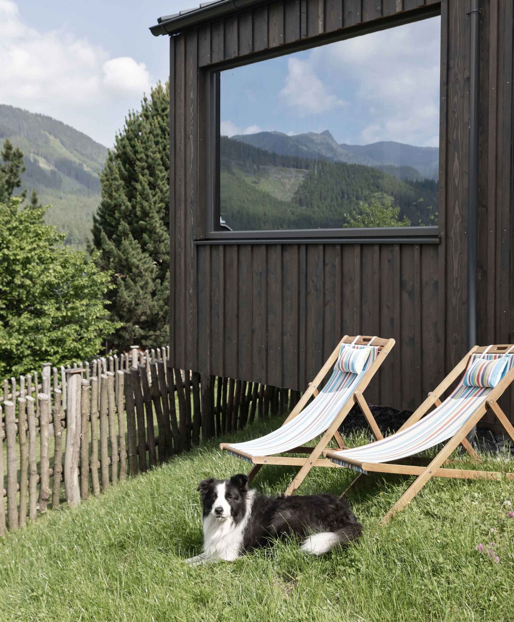 Work And Travel Mit Hund